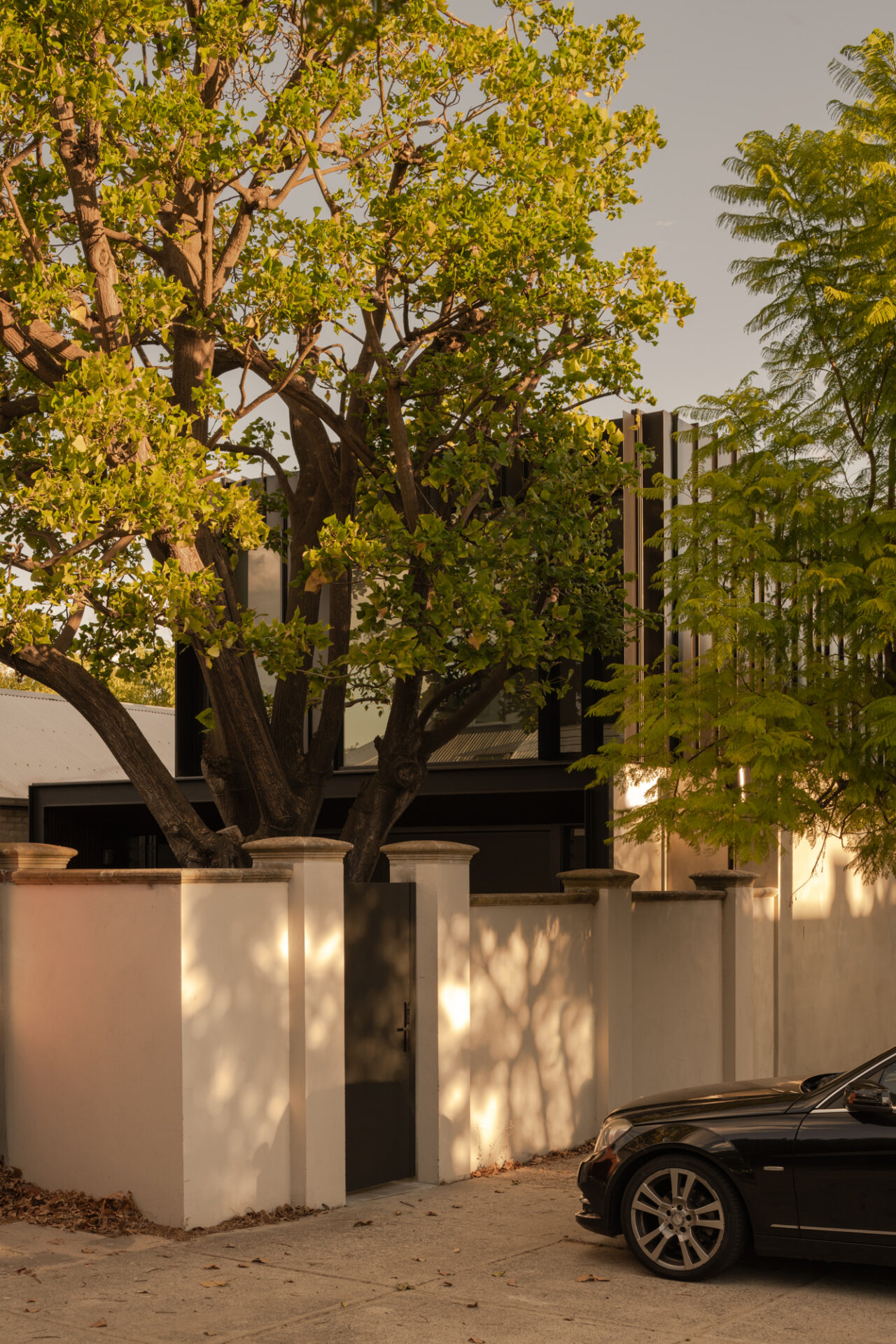 The Tree House - Robeson | Perth Residential Architect